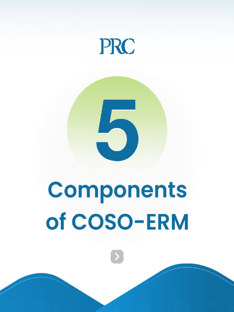 Coso Erm | PDF