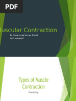 Understanding Active and Passive Insufficiency | PDF | Human Anatomy ...