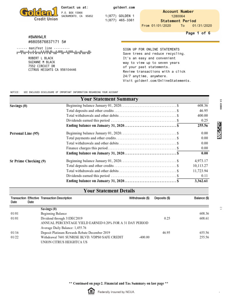 January 2020 Account Statement Summary | PDF | Debits And Credits ...