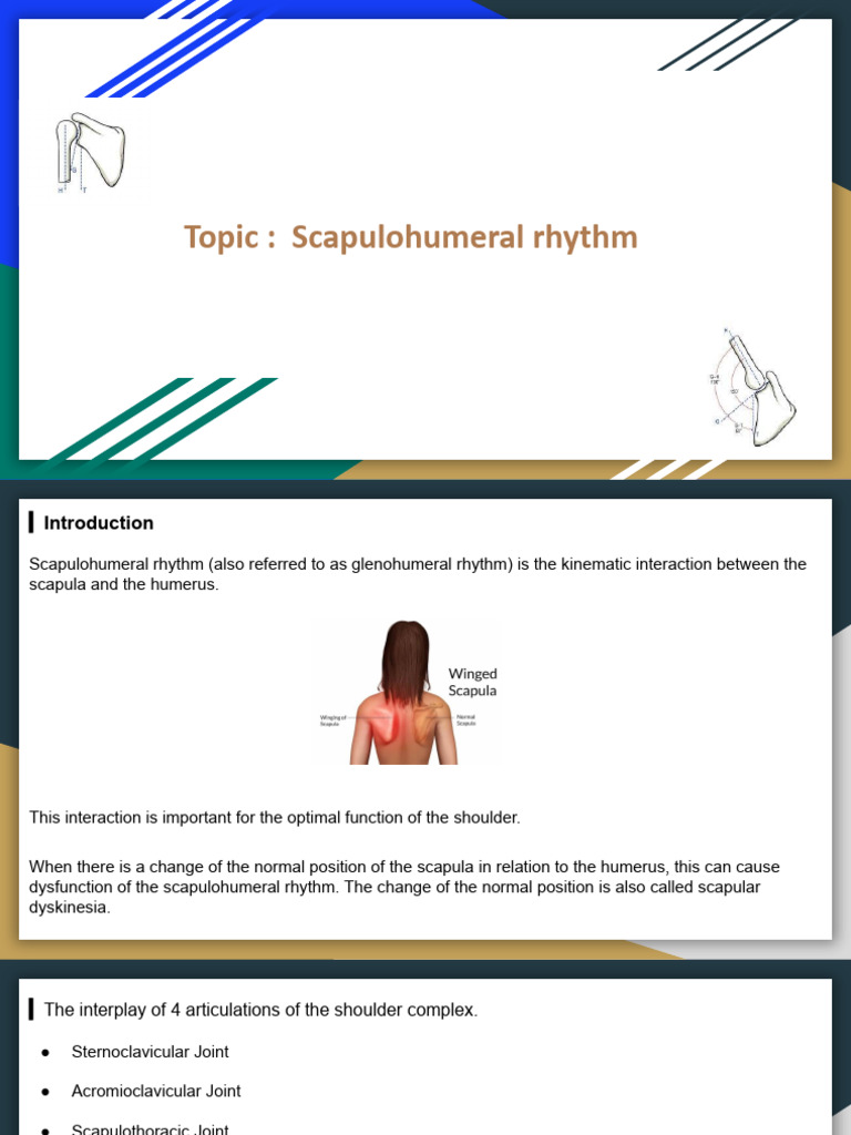 Scapulohumeral Rhythm Explained | PDF | Shoulder | Human Anatomy