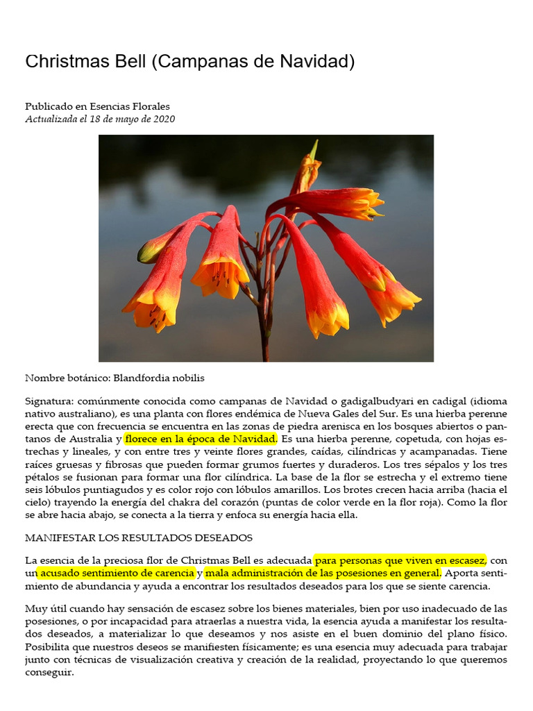 14 C4 Christmas Bell | PDF | Flores
