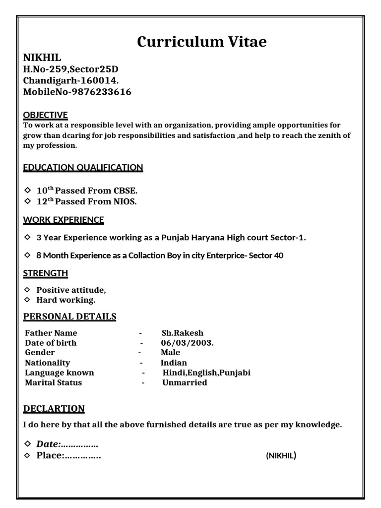 Nikhil Resume | PDF