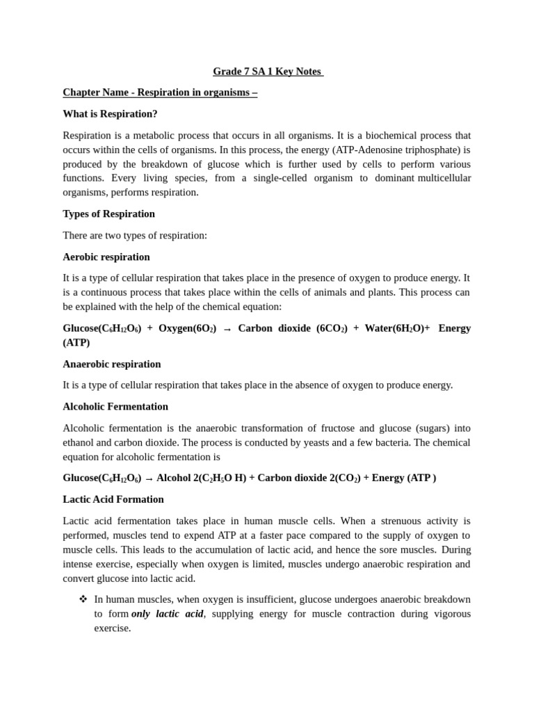 Grade 7 Respiration and Ecosystems Guide | PDF | Food Web | Cellular ...