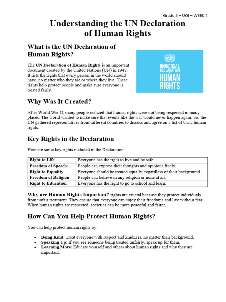 Understanding the UN Human Rights Declaration | PDF