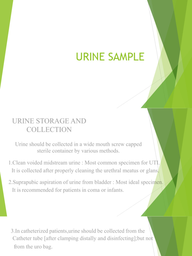 Urine Sample | PDF