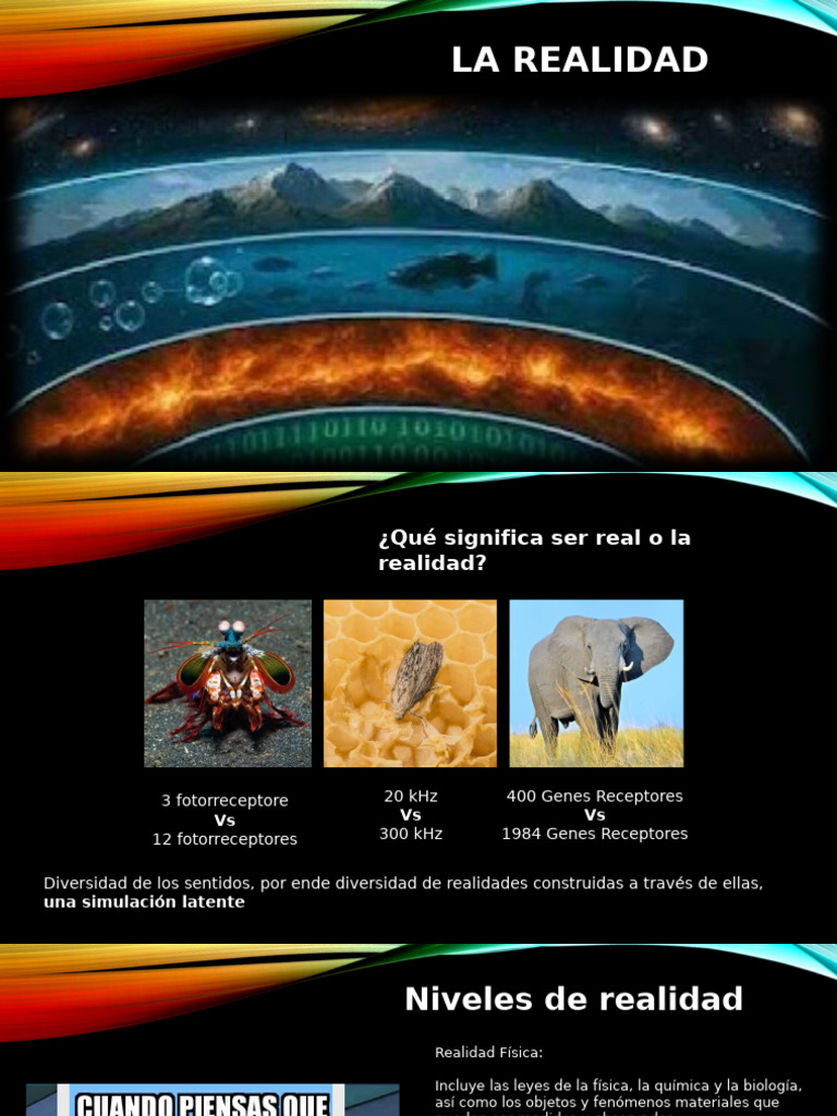 Tipos de Realidad y Percepción Humana | PDF | Realidad | Existencia