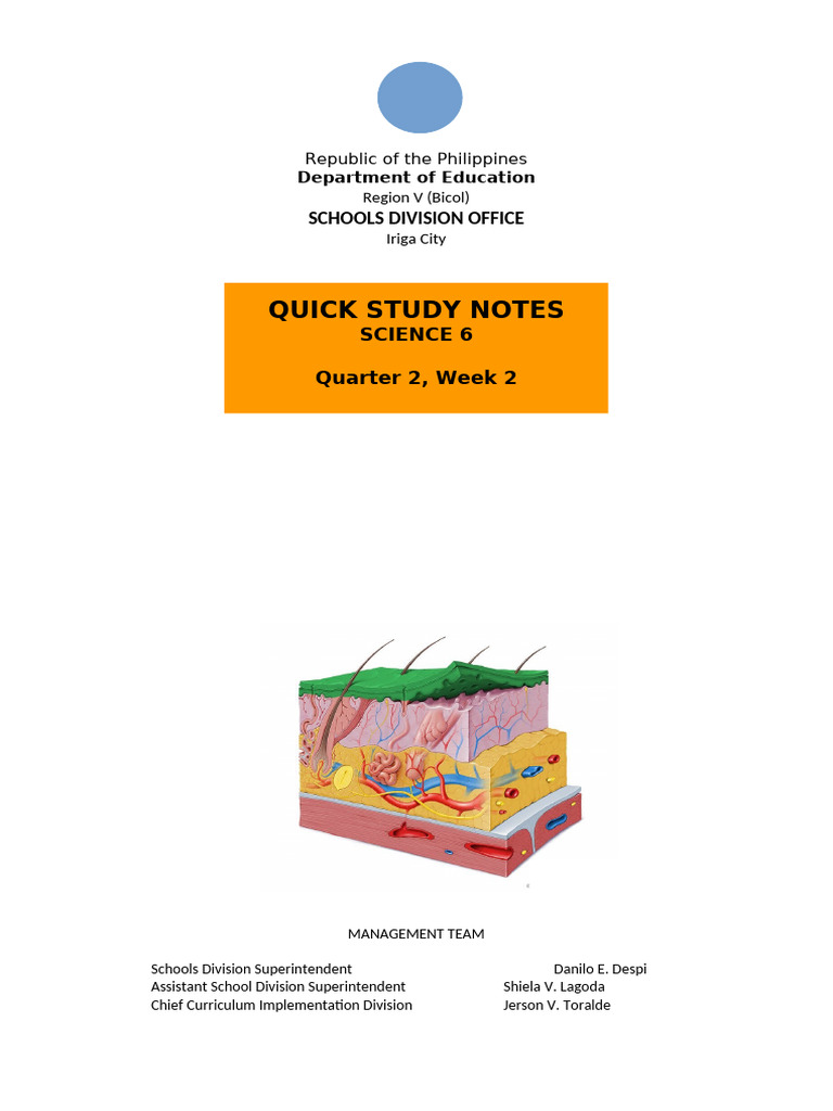 QSN in Science 6 Q2-w2 (Skin) - NezyPadayao | PDF | Skin | Integumentary System