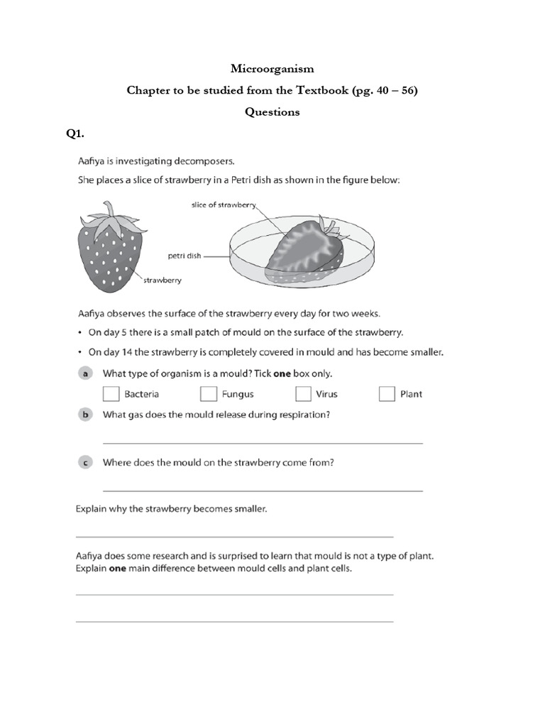 Microorganisms - Revision Questions | PDF