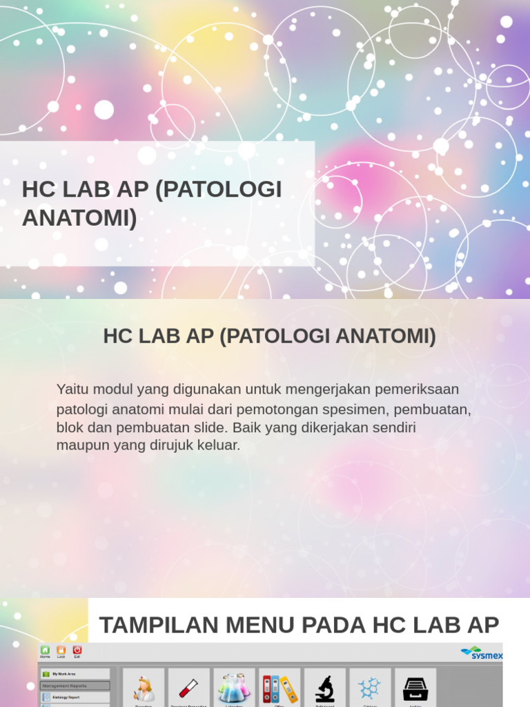 HC LAB AP | PDF