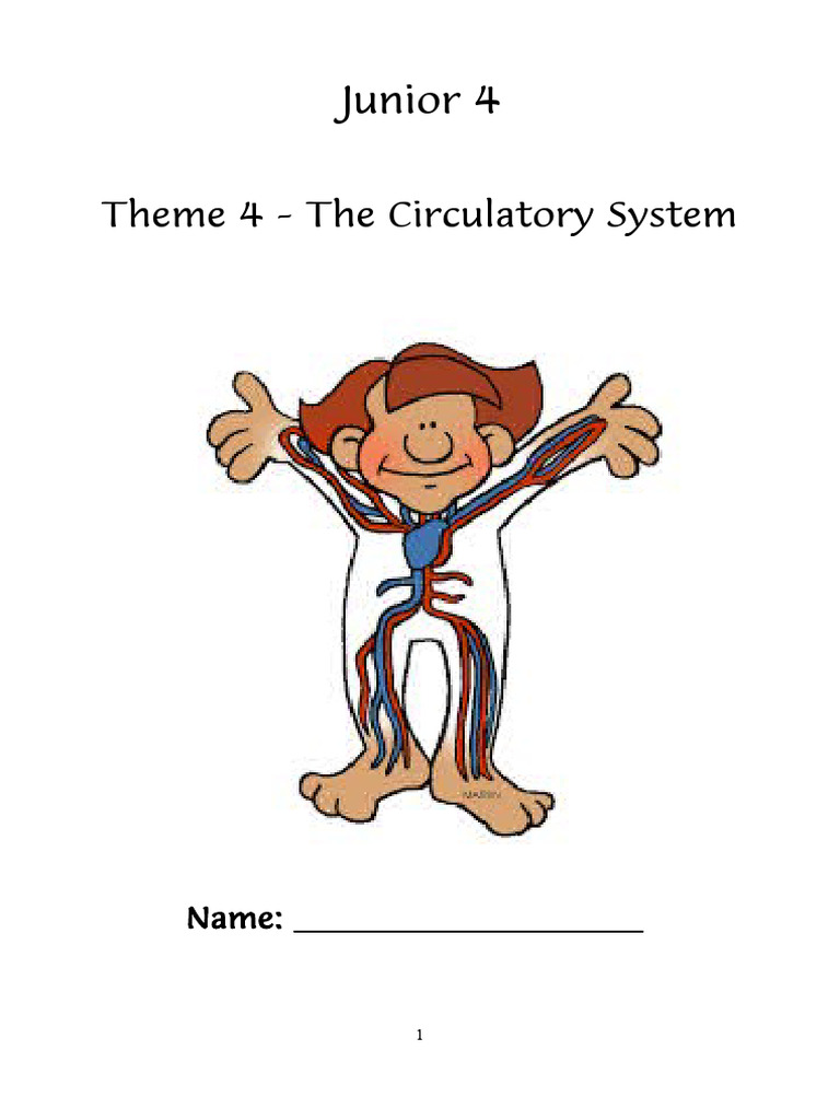 J4 Science Theme 4 The Circulatory System Booklet 20232024 | PDF ...