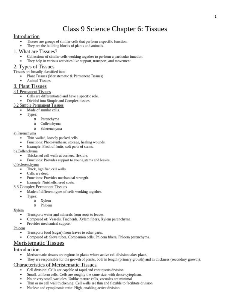 Class 9 Science: Tissues Overview | PDF | Tissue (Biology) | Bone