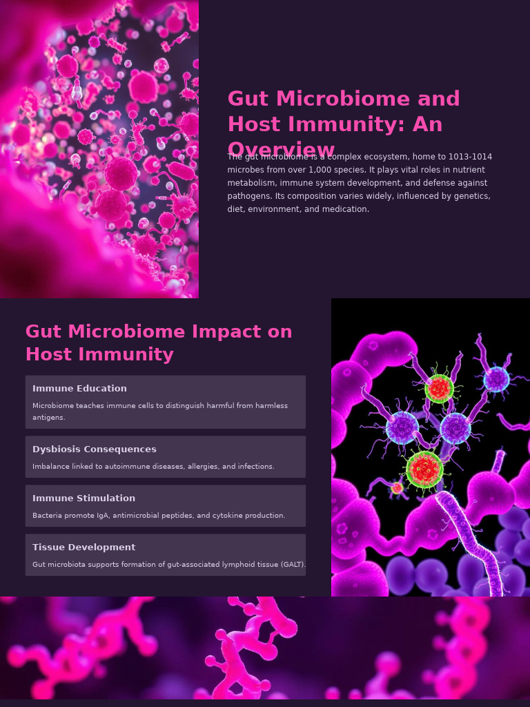 Gut Microbiome's Role in Immunity | PDF | Immune System | Clinical Medicine