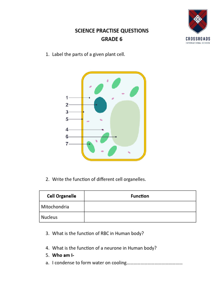 Science Worksheet | PDF | Physical Sciences | Applied And Interdisciplinary Physics