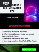 Angiosperm Reproduction Recap Guide | PDF