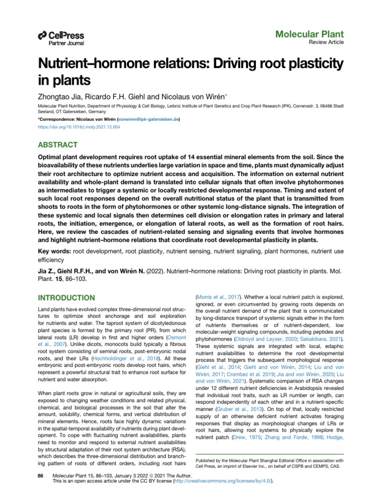 Nutrient-Hormone Relations - Driving Root Plasticity in Plants | PDF ...