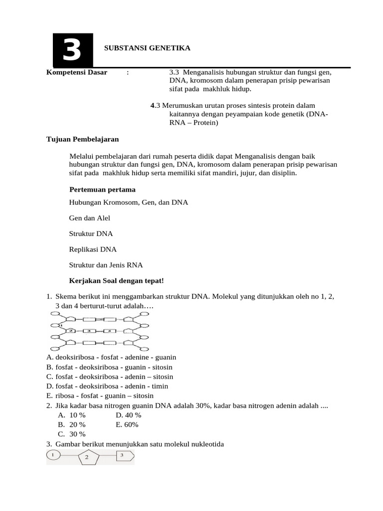 LKPD Substansi Genetika | PDF