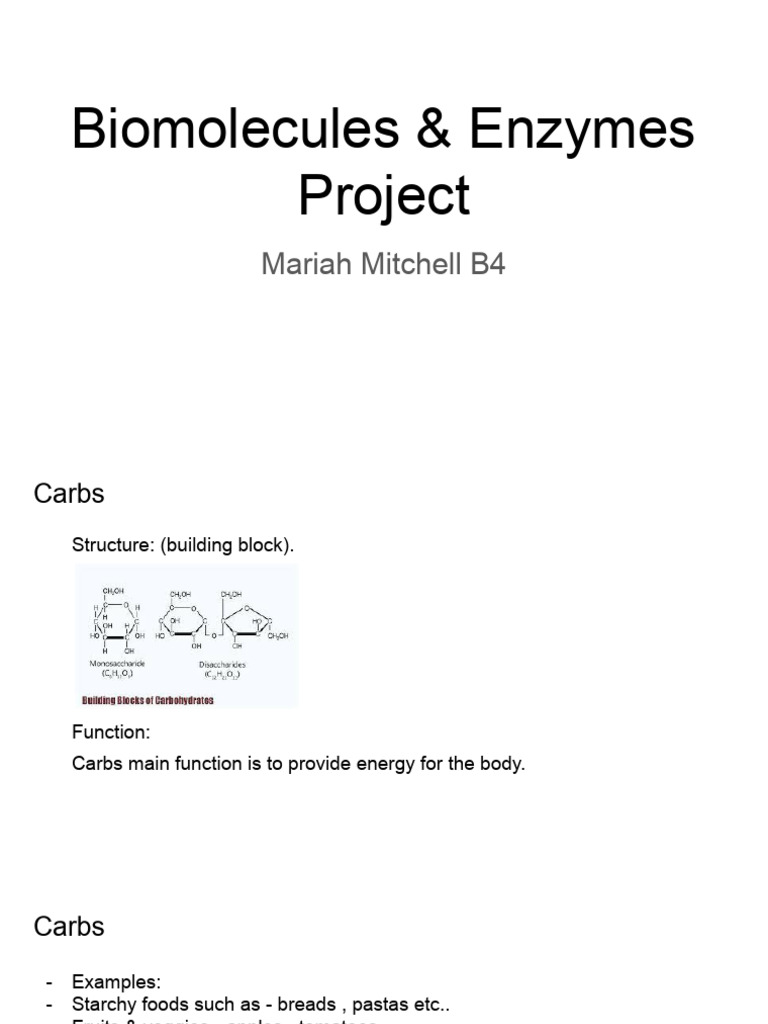 Biomolecules & Enzymes Project | PDF | Enzyme | Nucleic Acids