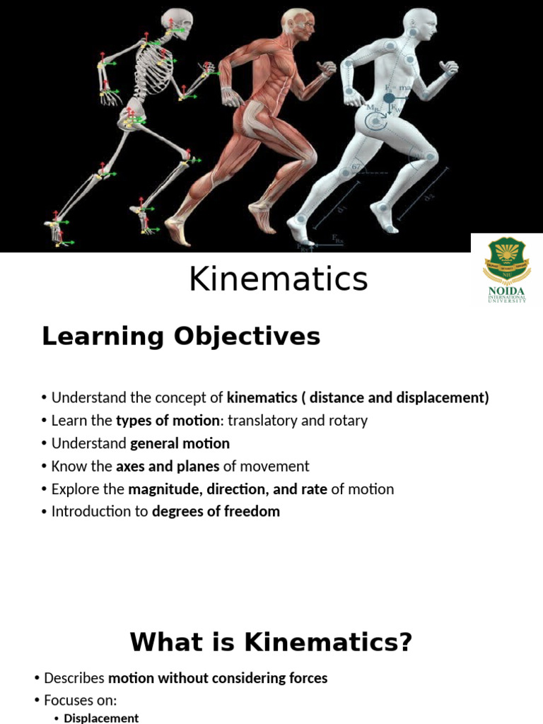 Motion (Kinematics) | PDF