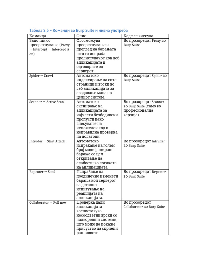 Tabella Burp Suite | PDF