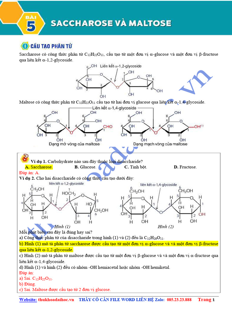 Bai 5. Saccharose Va Manltose (Loi Giai) | PDF