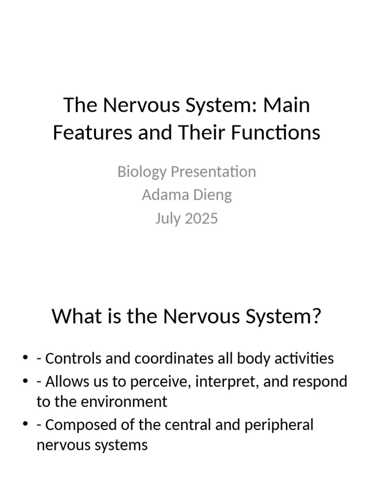 Nervous System Presentation | PDF