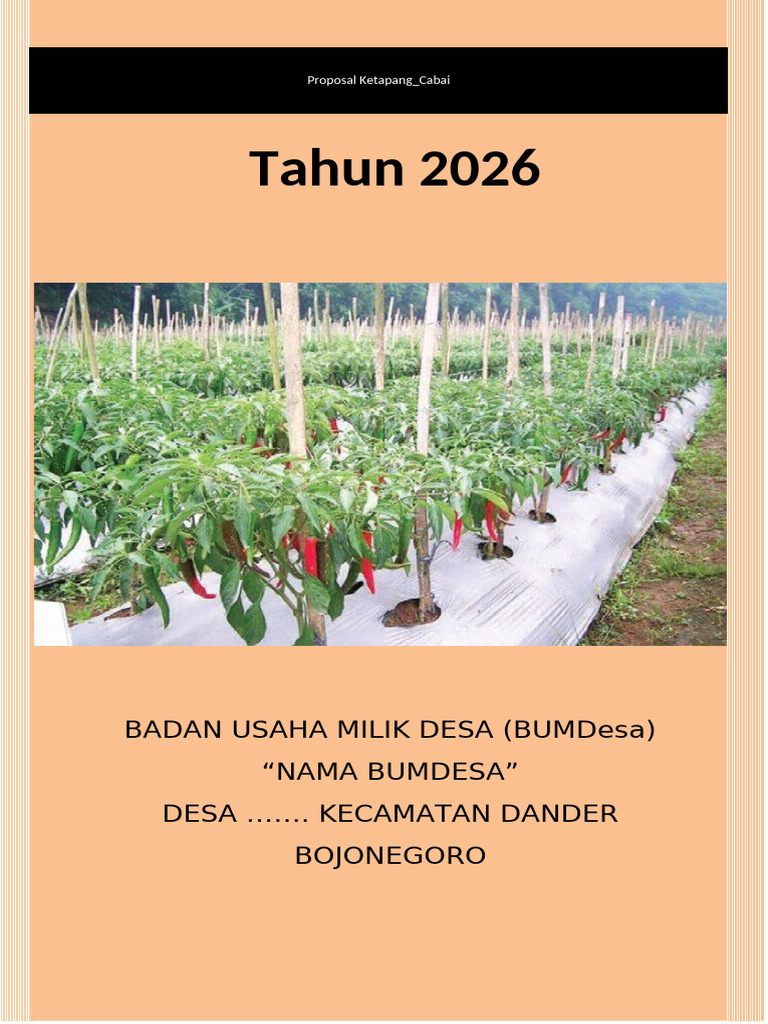 Proposal Ketapang - Tanaman Cabai | PDF