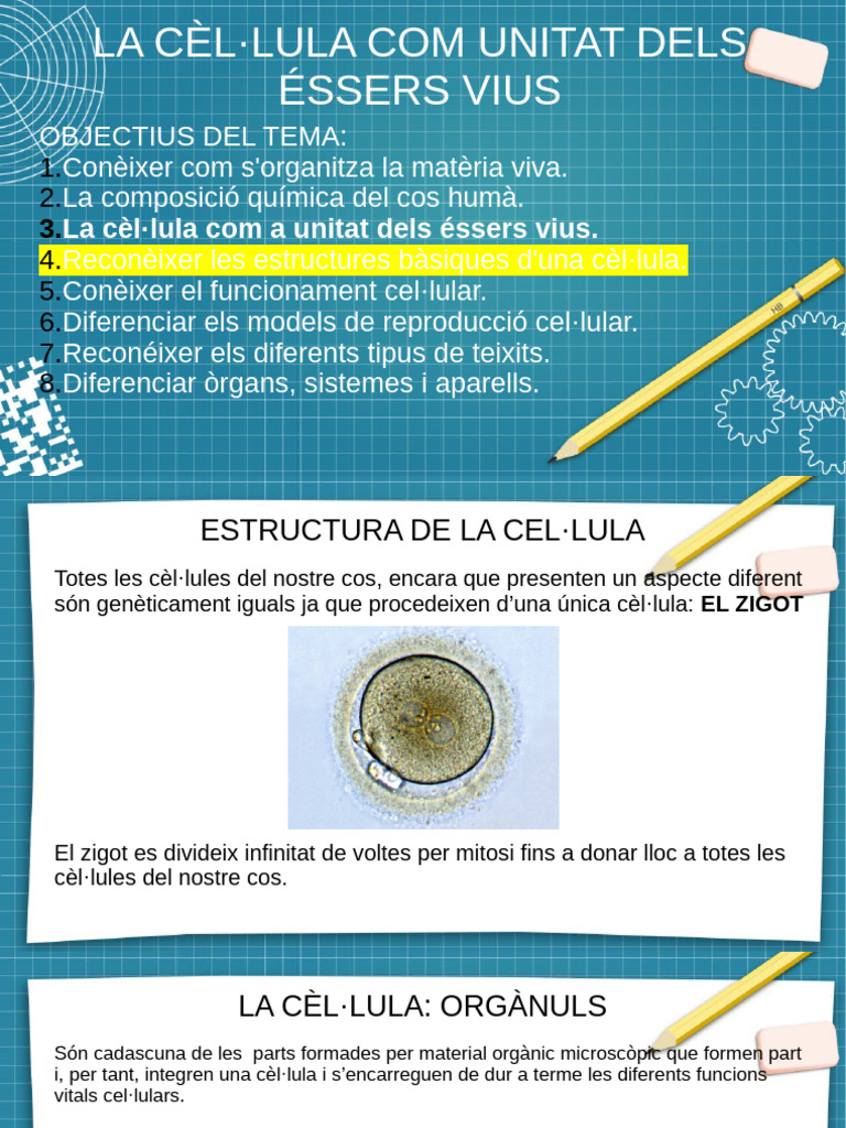 1. ESTRUCTURA DE LA CÃ LÂ·LULA | PDF