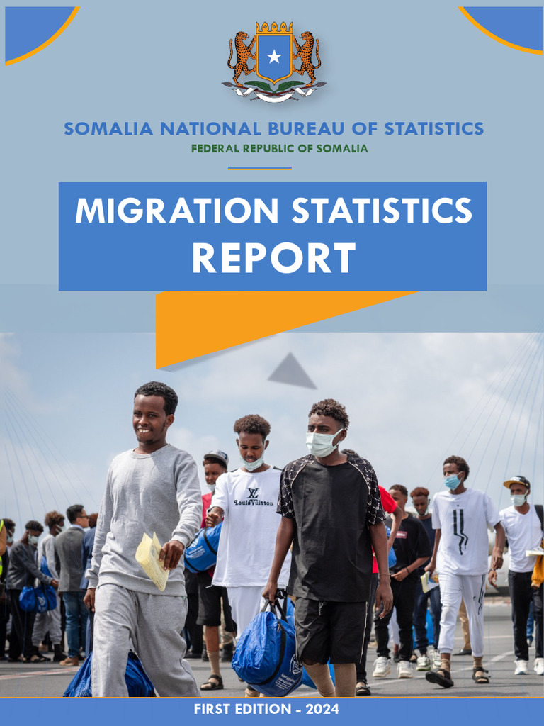 Somalia Migration Statistics Report 2024 | PDF | Human Migration | Census
