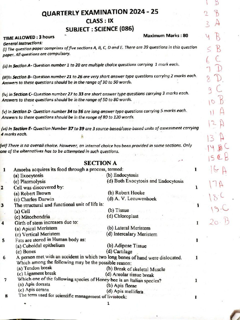 Science Last Year Paper | PDF