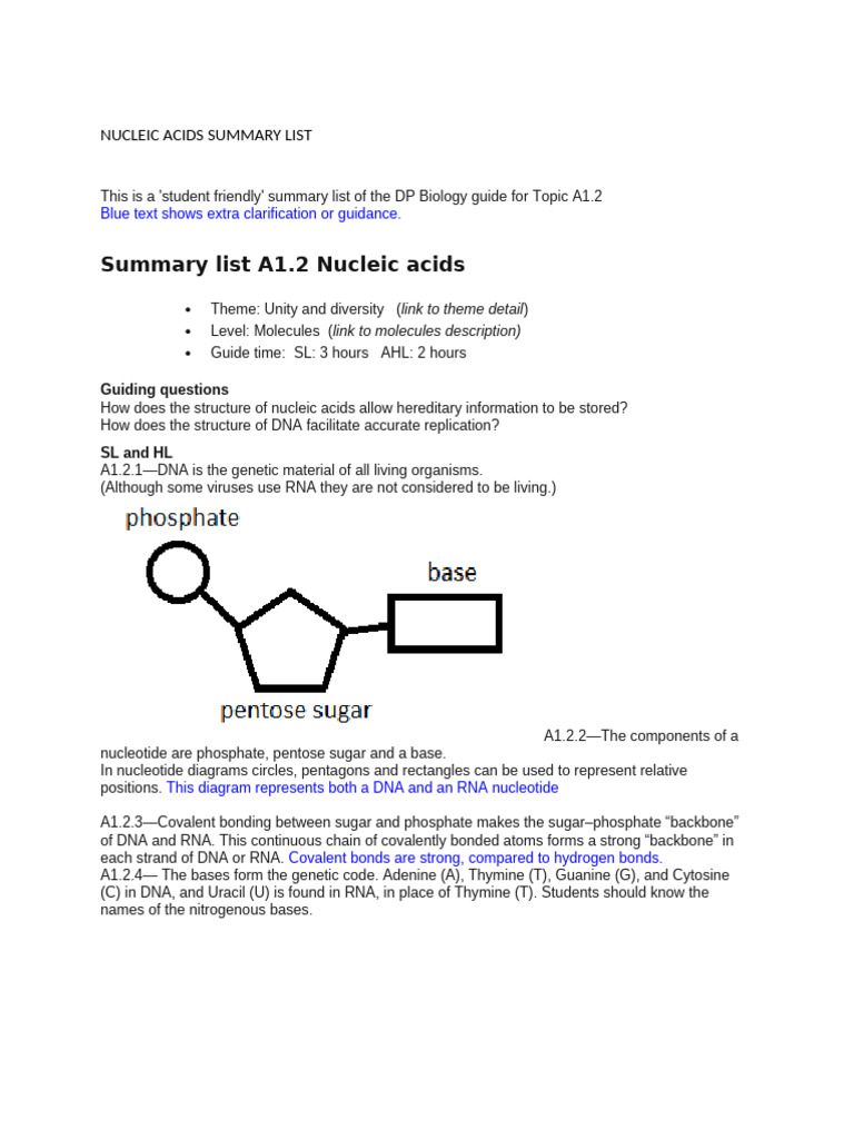 2025-Nucleic Acids Summary List | PDF | Dna | Nucleotides