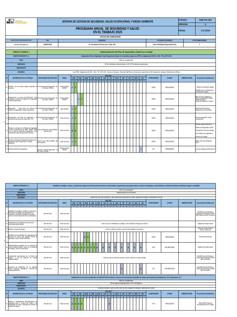 Nab-sig-002-Programa Anual de Seguridad y Salud Ocupacional (2024) | PDF | Auditoría | Seguridad ...