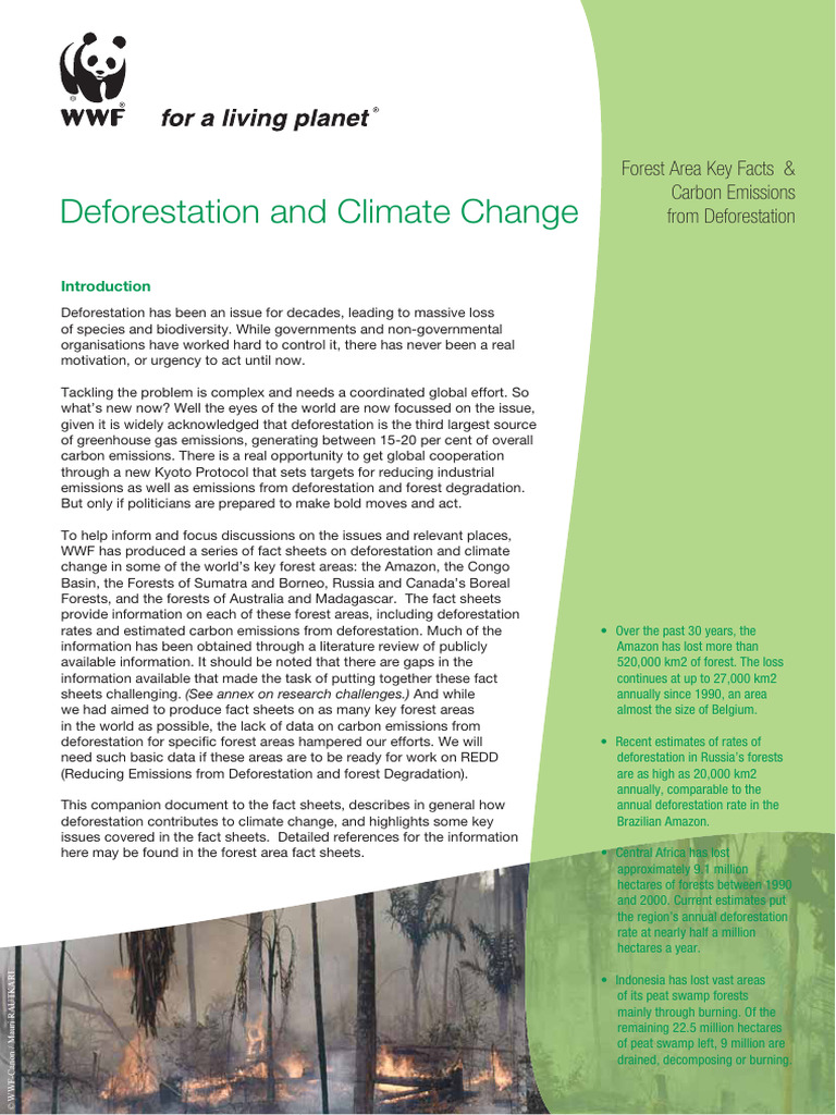 Deforestation's Impact on Climate Change | PDF | Deforestation ...