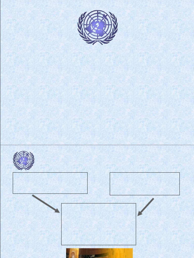 Special Political and Decolonization Committee | PDF | United Nations ...