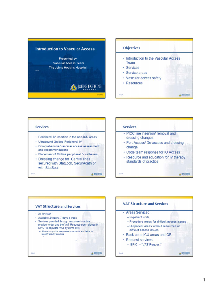 Vascular Access Team Services Overview | PDF | Intravenous Therapy | Vein