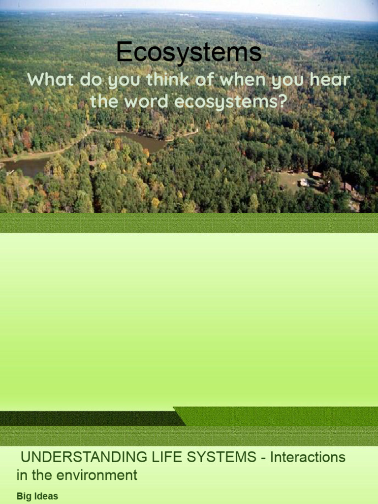 Ecosystems Intro Slide Show | PDF | Ecosystem | Photosynthesis