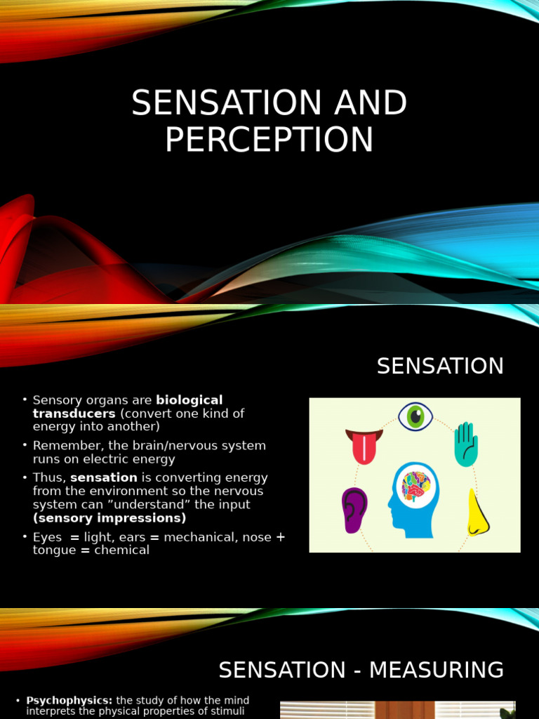 Understanding Sensation and Perception | PDF | Hearing | Senses