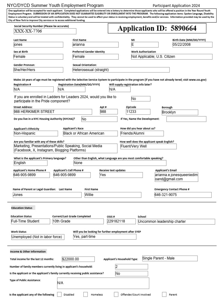 Summer Youth Employment Application 2024 | PDF