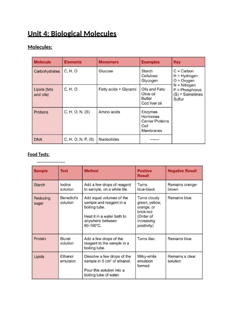 Unit 4 Biological Molecules | PDF