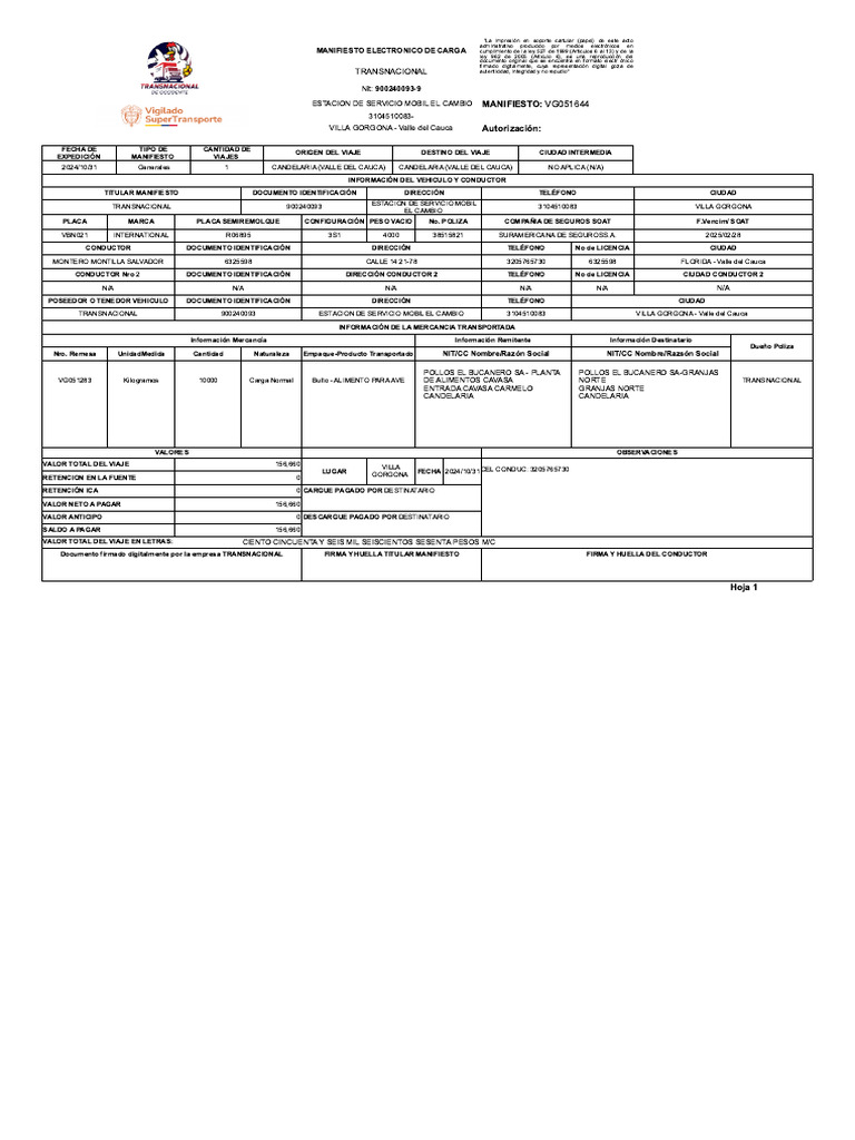 Document Analysis and Data Insights | PDF