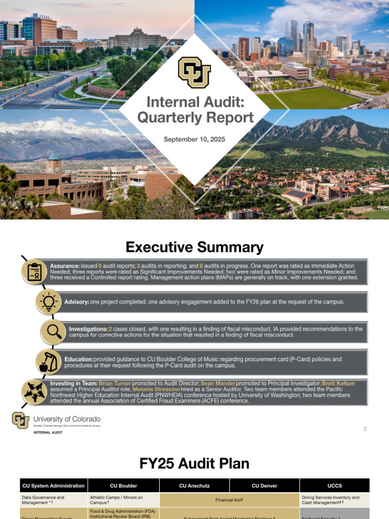 FY25 Quarterly Audit Report Overview | PDF