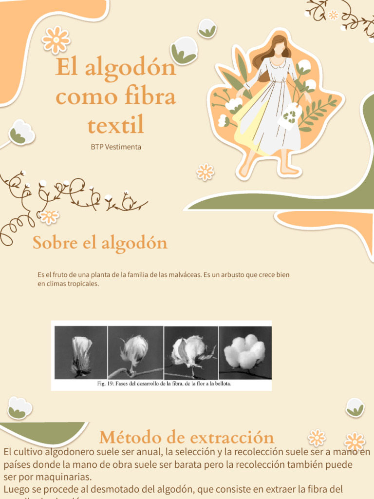 El Algodón Como Fibra Textil | PDF | Algodón | Textiles