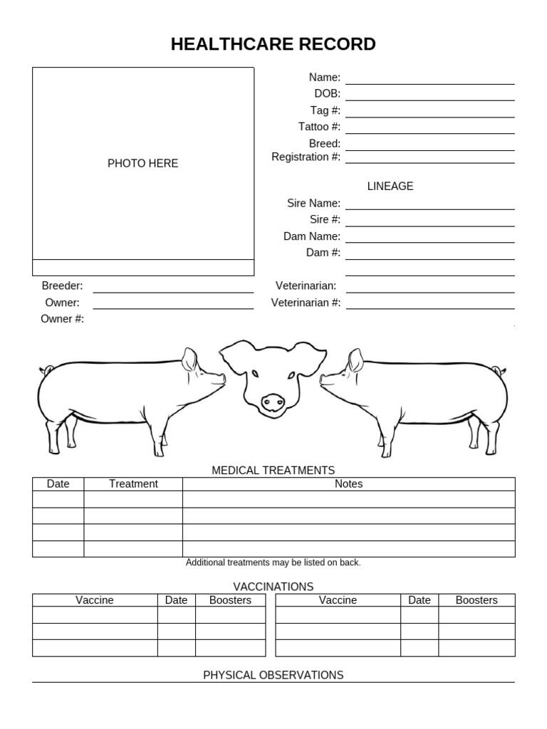 Veterinary Health Record Template | PDF