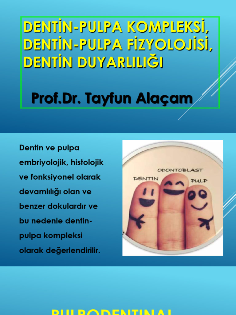 Dentin Pulpa Kompleksi, Dentin Pulpa Fizyolojisi, Dentin Duyarliliği | PDF