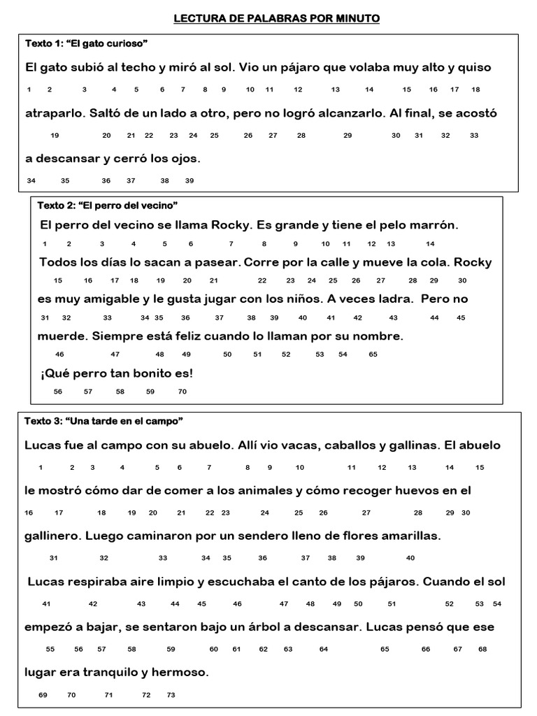 Lecturas Por Minuto Ejercitacion | PDF