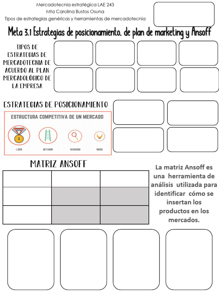 Meta Est Posicon Plan y Ansoff | PDF