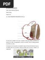 Meme del Perrito Asqueado | PDF | Red social | Red de computadoras