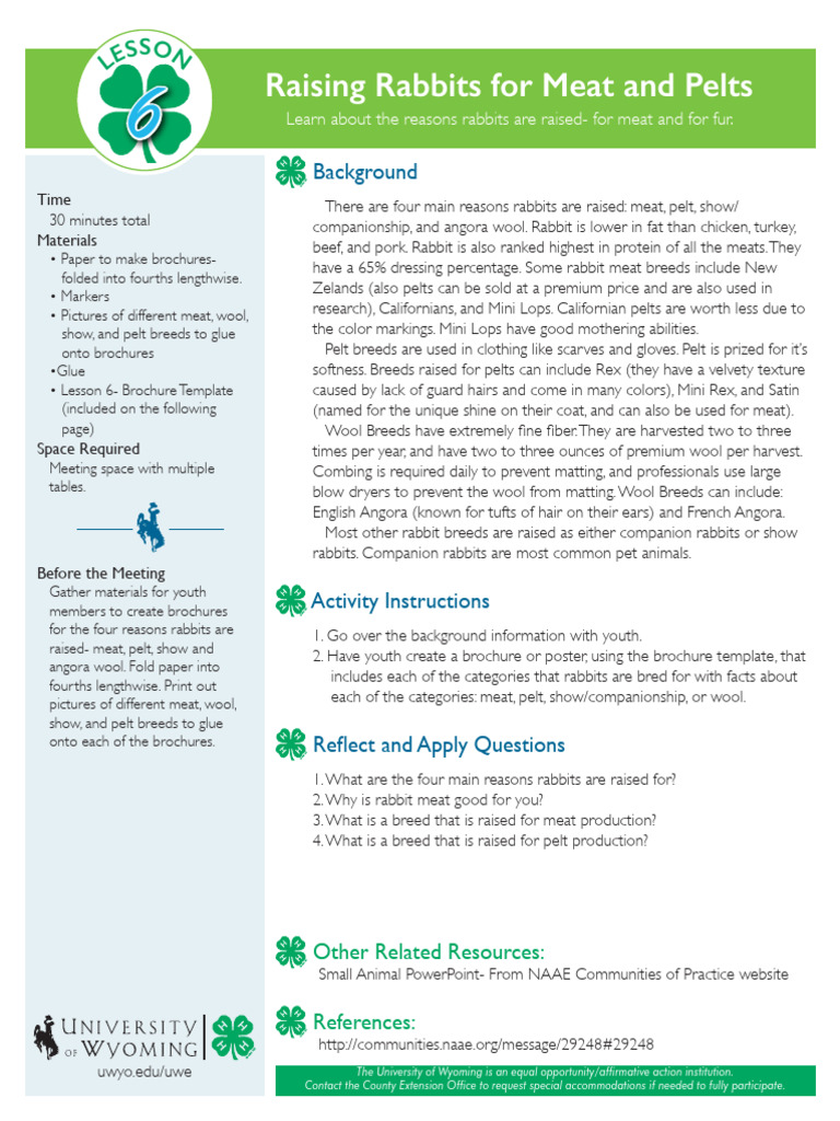 rabbit-lesson-6 | PDF | Lagomorphs | Animal Hair