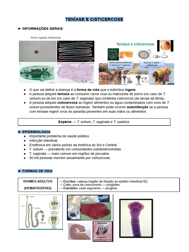 Teníase e Cisticercose | PDF | Especialidades médicas | Doenças e ...