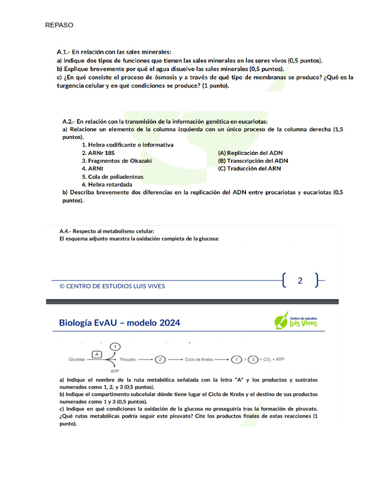 REPASO | PDF
