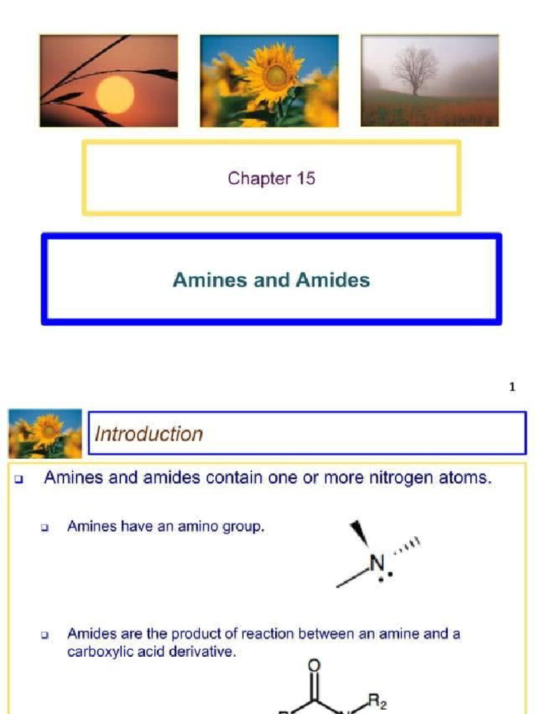 Amines and Amides | PDF